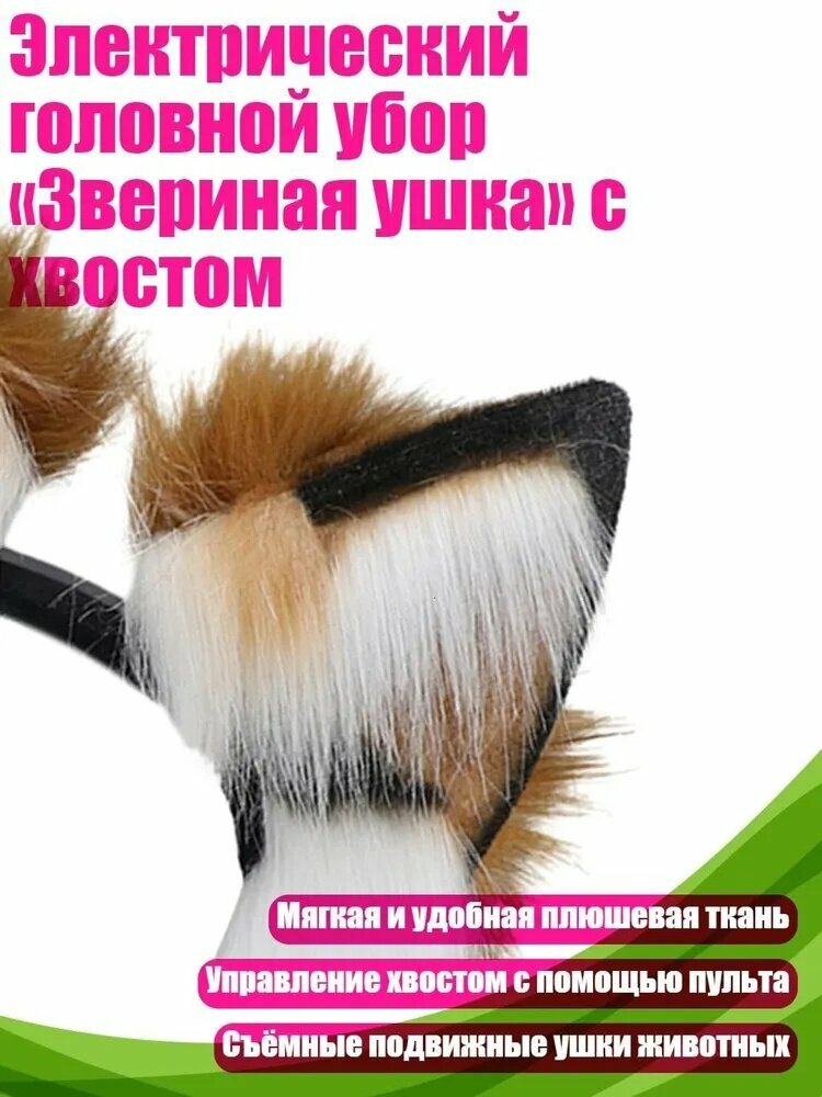 Ободок