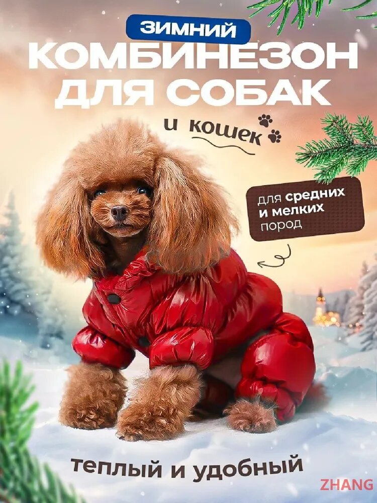 Одежда для животных