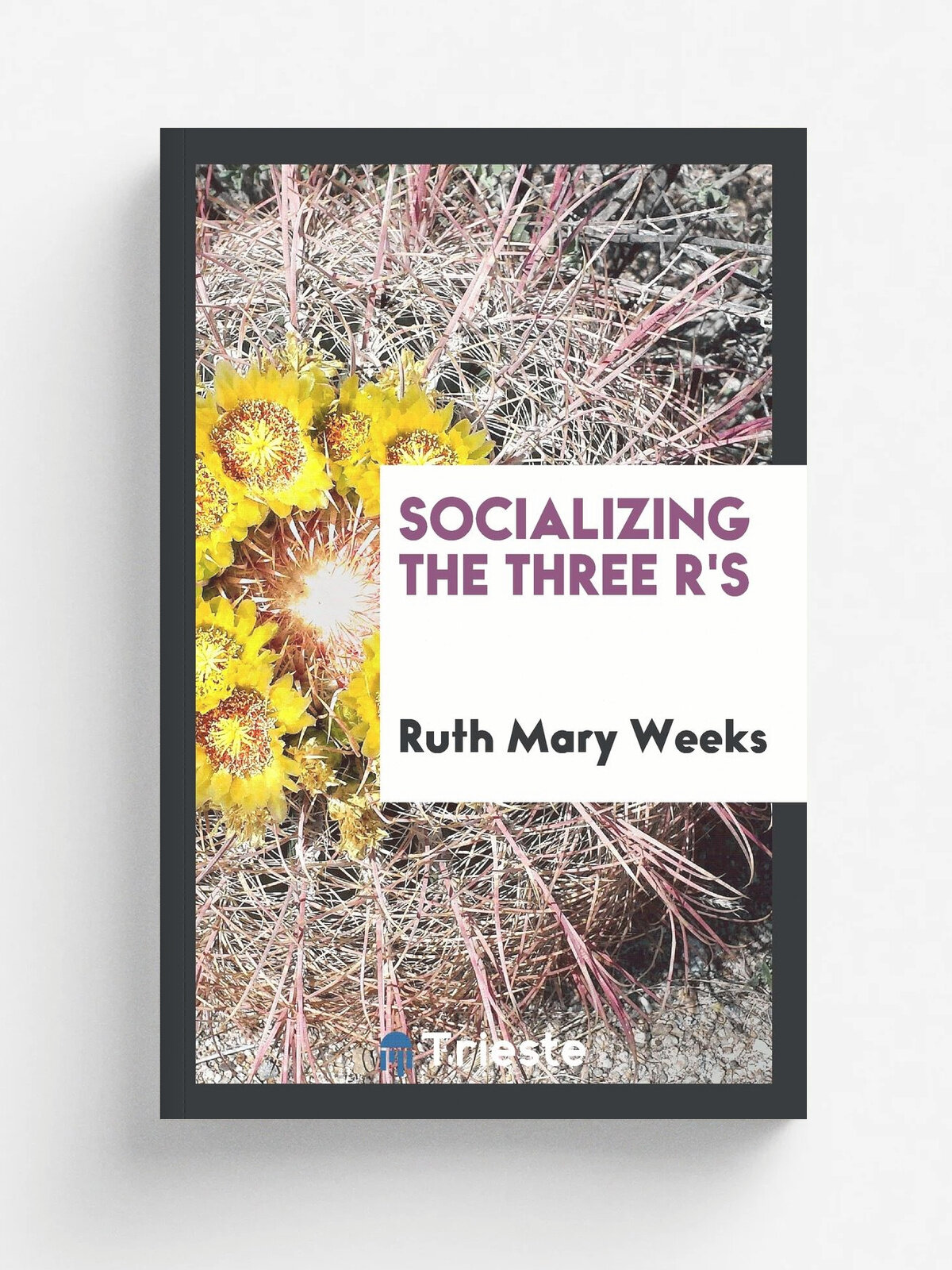 Socializing the three R's