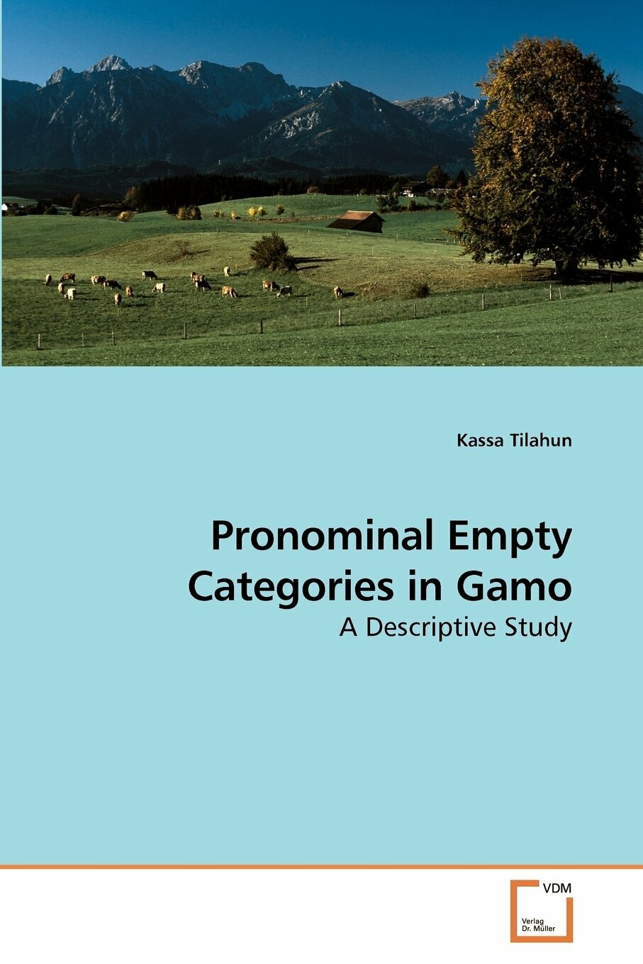 Pronominal Empty Categories in Gamo — фото 1
