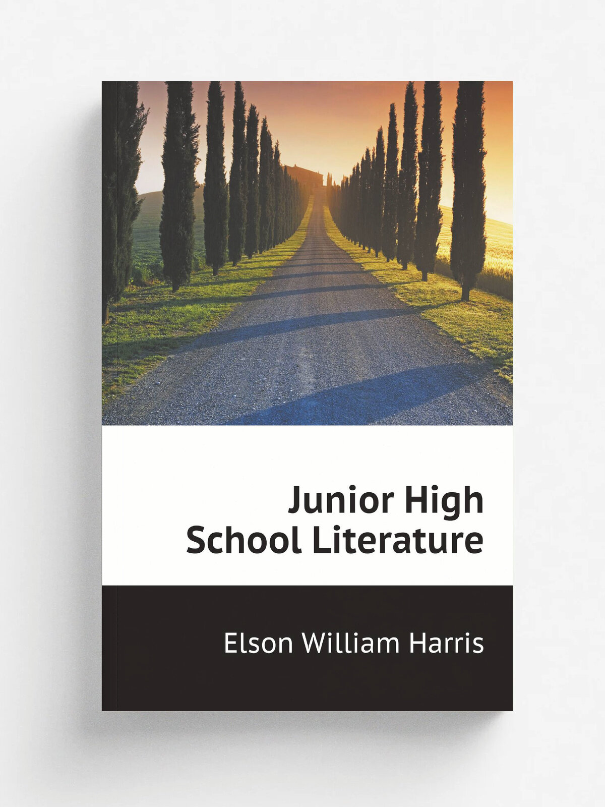 Junior High School Literature