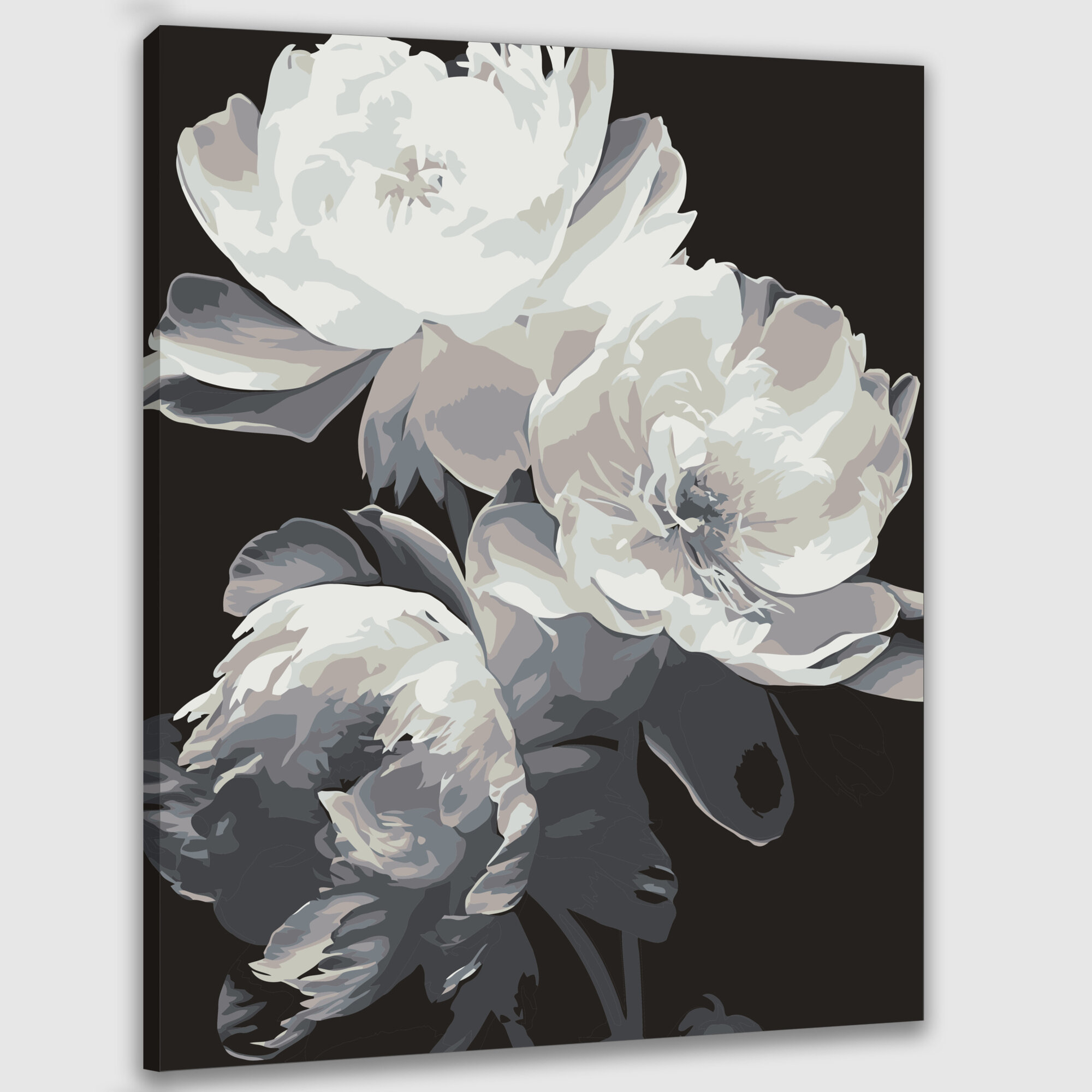 Картина по номерам 40x50 см, черно-белая фотография, пионы, лепестки, тени, монохромная цветовая гамм, таинственность