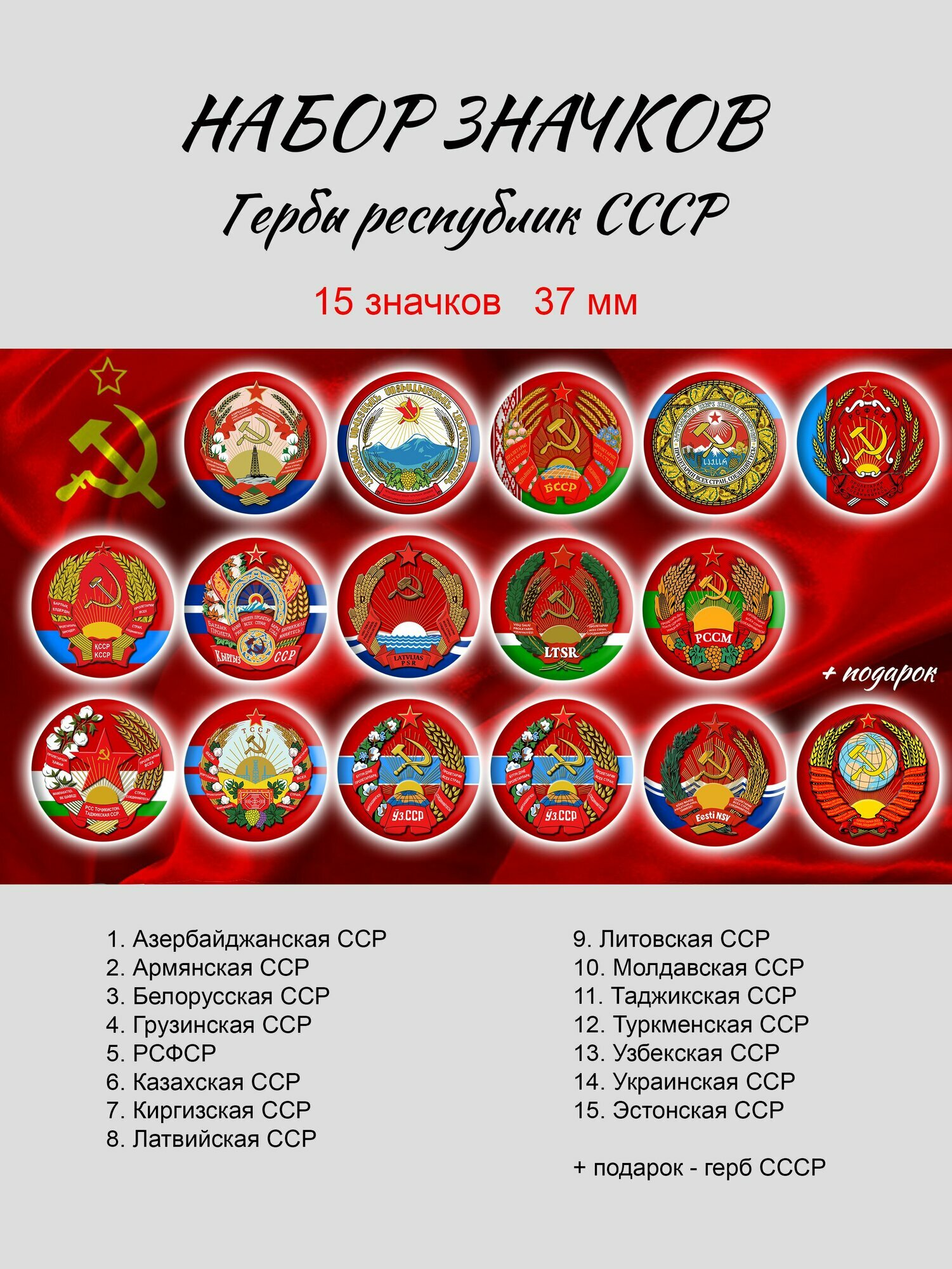 Значки "Гербы республик СССР", на булавке, металл, диаметр 37мм, набор из 15шт