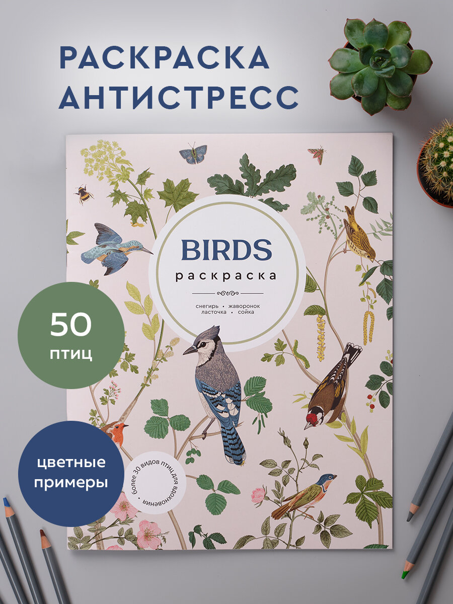 Раскраска антистресс Birds (Птицы) для детей и взрослых, обучающая, формат А4. Издательство "Жёлудь"