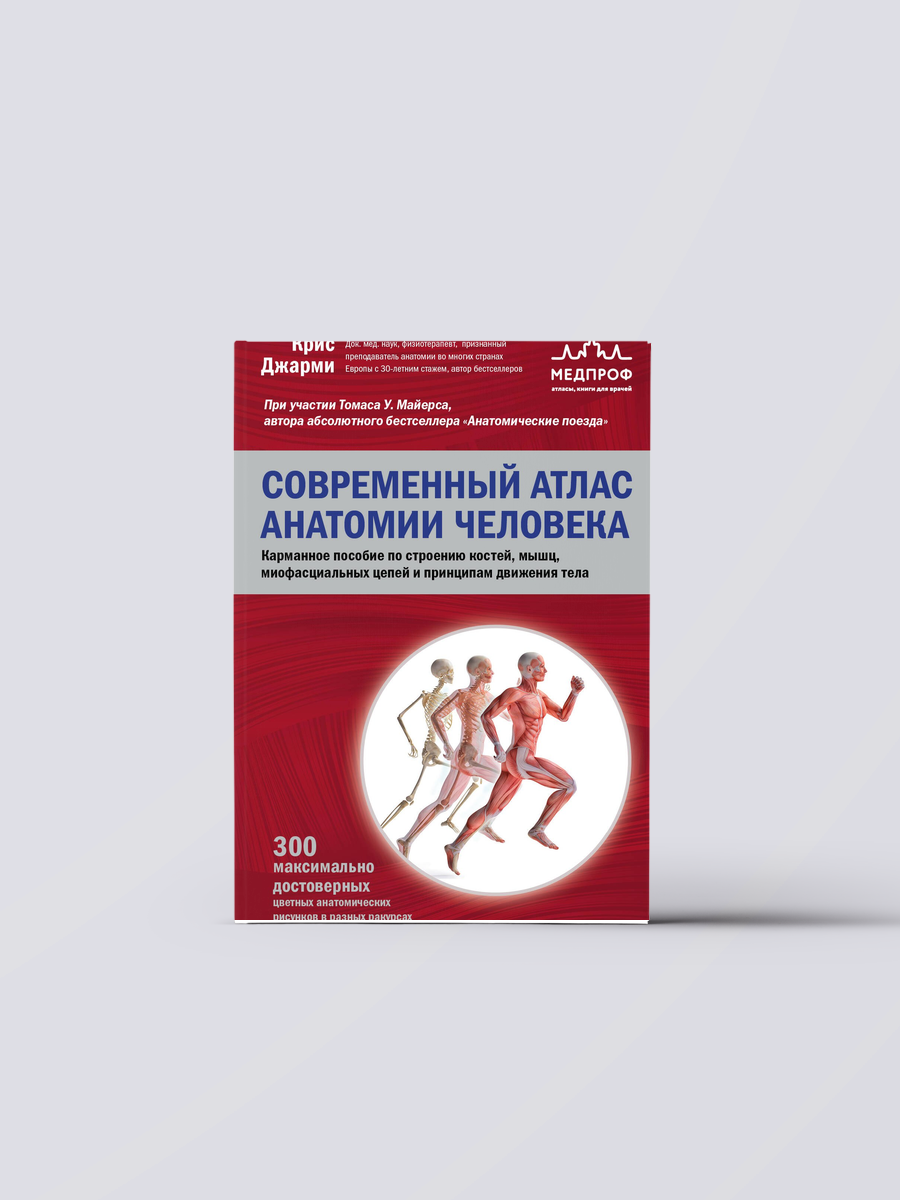 Современный атлас анатомии человека. Карманное пособие по строению костей, мышц, миофасциальных цепей и принципам движения тела | Крис Джарми