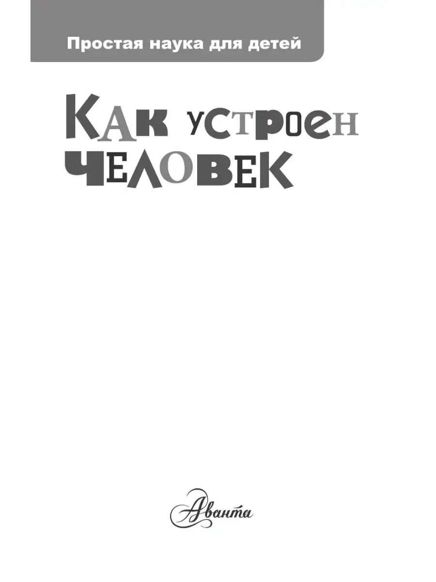 Как устроен человек — фото 1