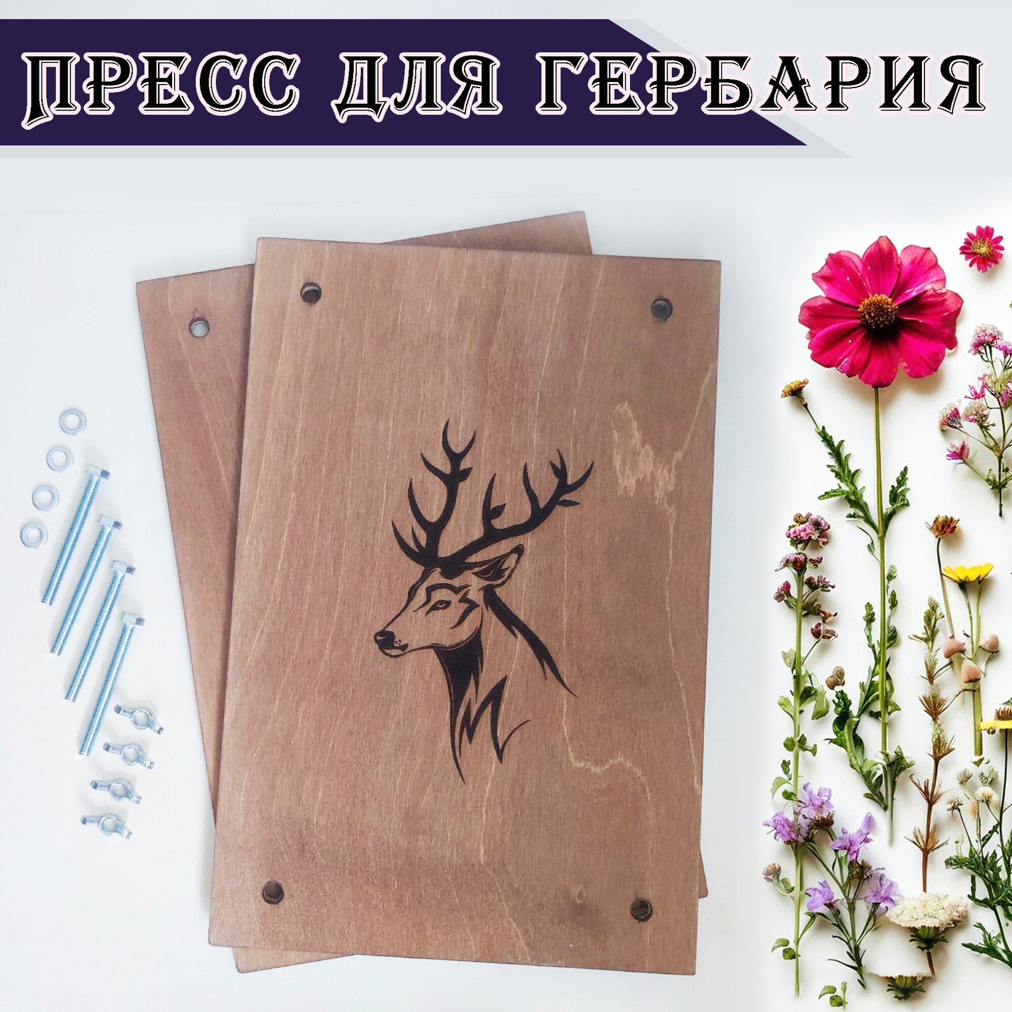 Пресс для сушки листьев и растений. Пресс для гербария А4