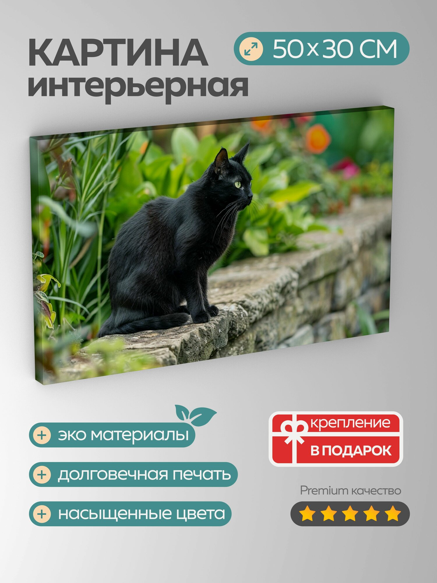 Картина на холсте интерьерная 50х30 см, кошка, черная, стена, сад, глаза, зелень, шерсть, текстурированные камни