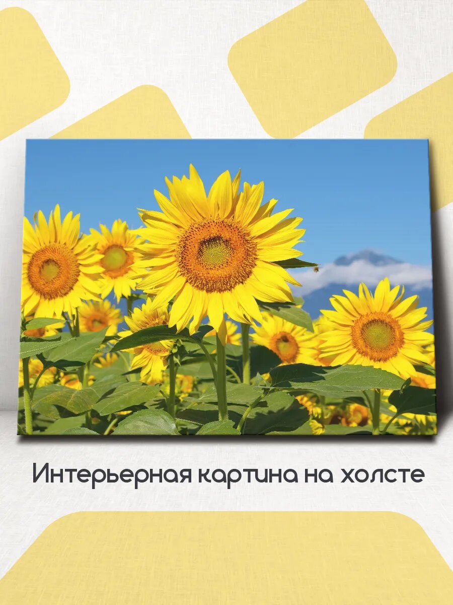 Картина на стену интерьерная Подсолнухи на поле 40x30 см