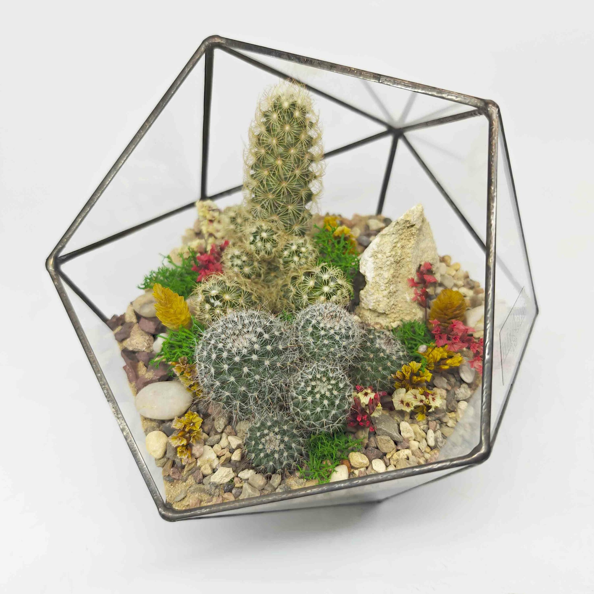 Флорариум "Яркий с кактусами" Икосаэдр 14см (Ø16см)