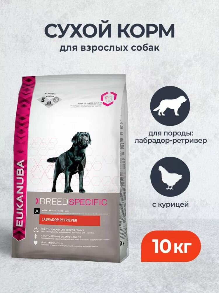 Сухой корм Eukanuba "Labrador Retrieve", для взрослых лабрадоров и крупных пород, 10кг