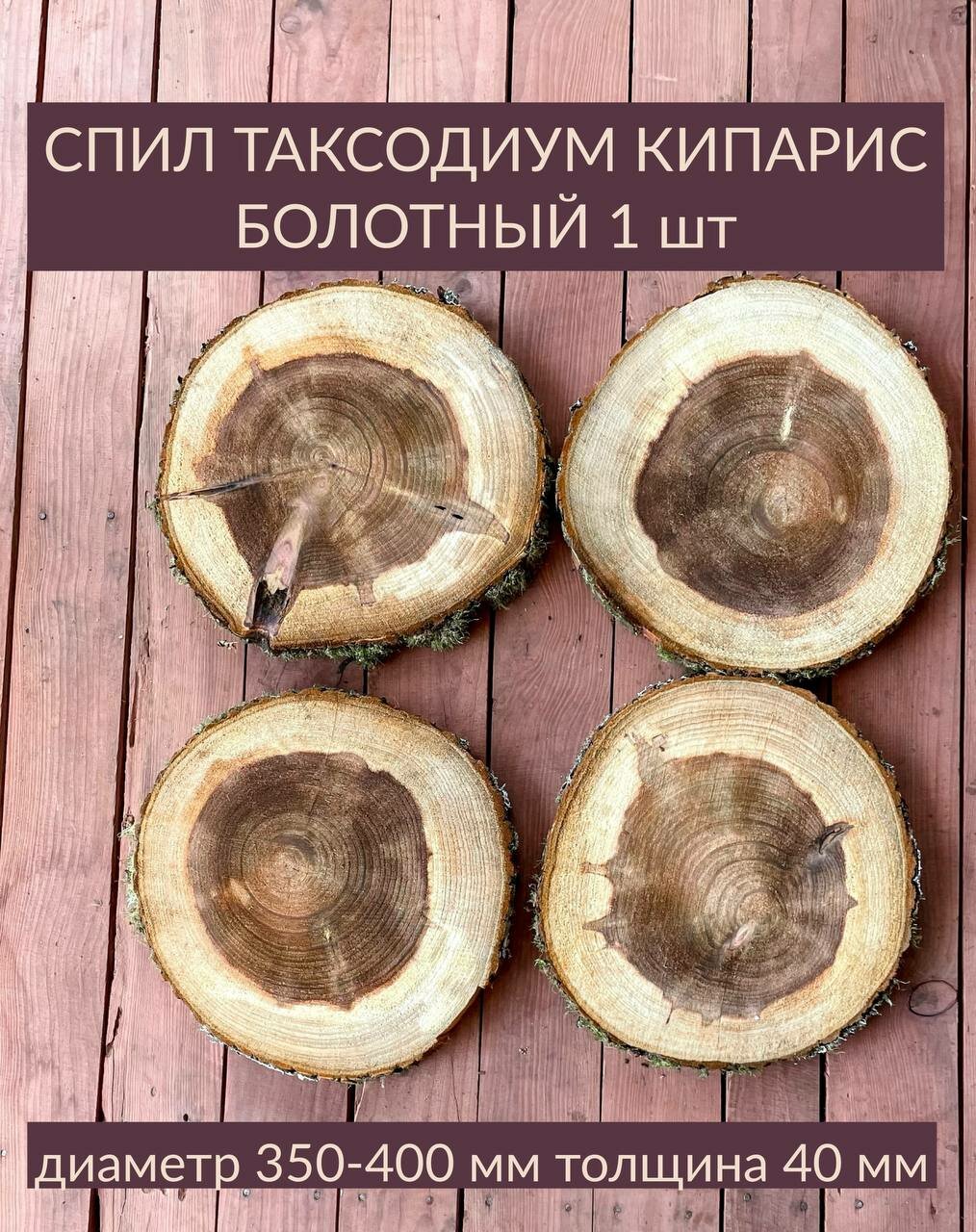 Спил Таксодиума, диаметр 35-40 см, толщина 4 см, 1шт