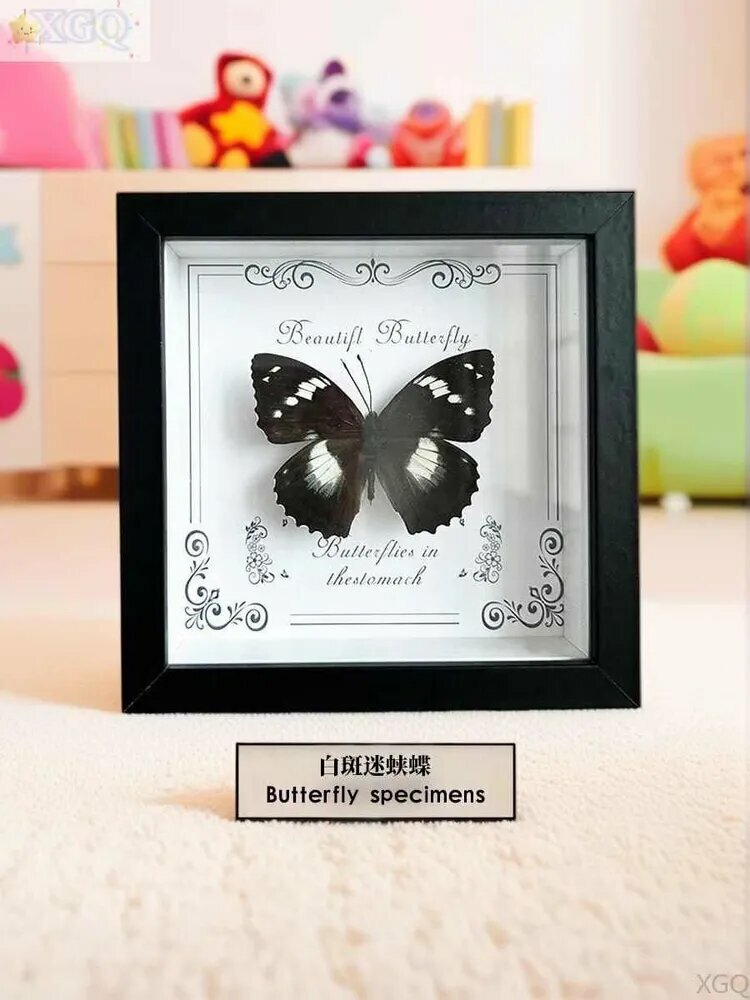 Чучело декоративное Настоящая бабочка в рамкеXGQ