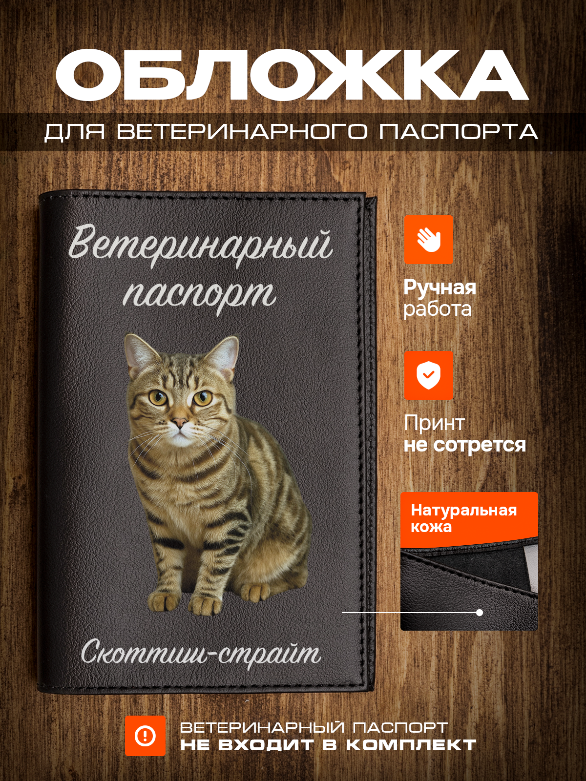 Обложка на ветеринарный паспорт для кошек с принтом Скоттиш-страйт