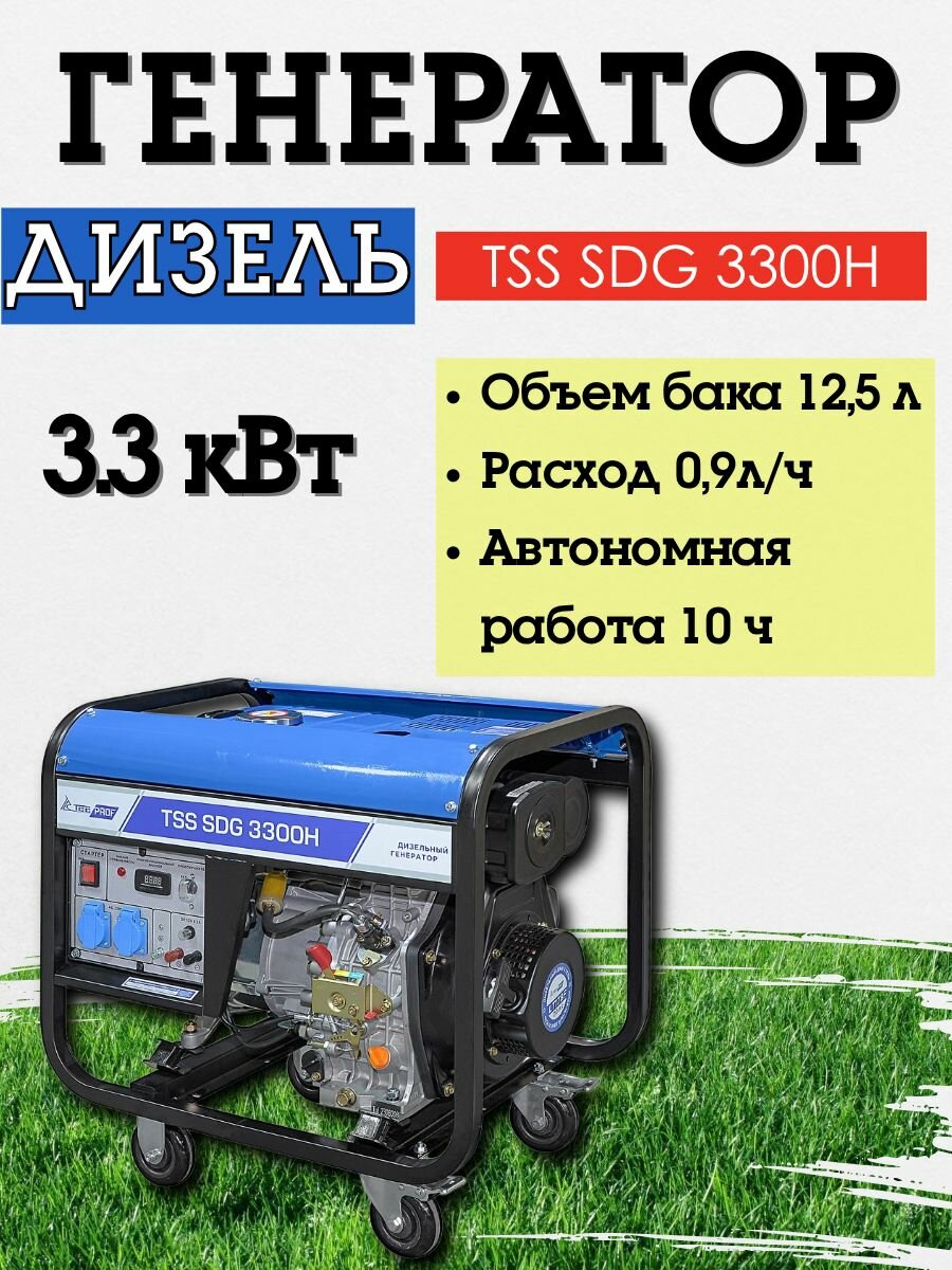 Дизель генератор TSS SDG 3300H