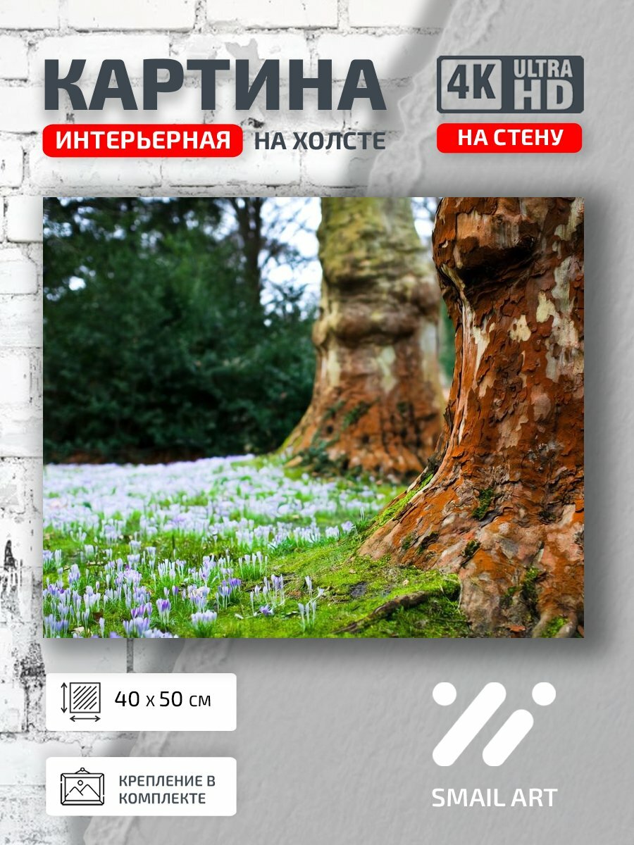 Картина на холсте интерьерная 40 на 50 на стену Весна Landscape для спальни пейзаж интерьер