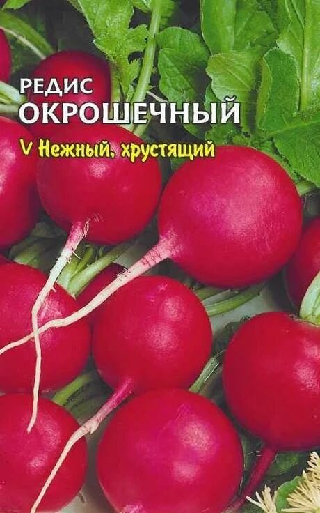 Коллекционные семена редиса Окрошечный