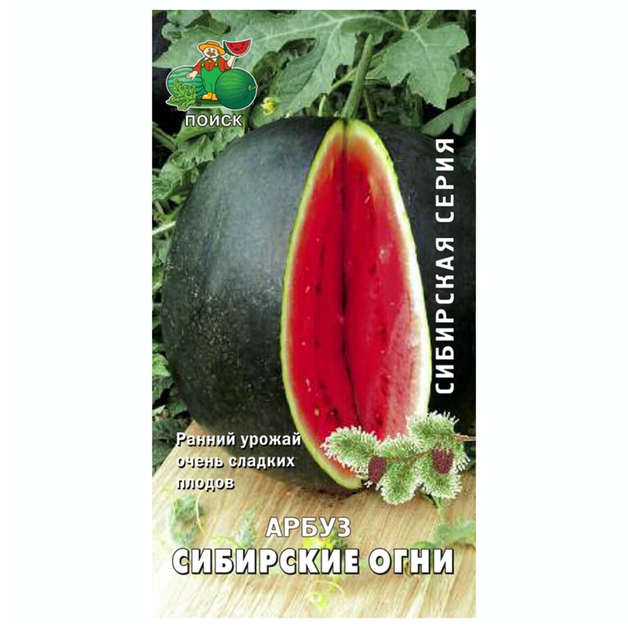 Семена арбуз Сибирские огни поиск 15шт, для дачи, сада, огорода и на рассаду