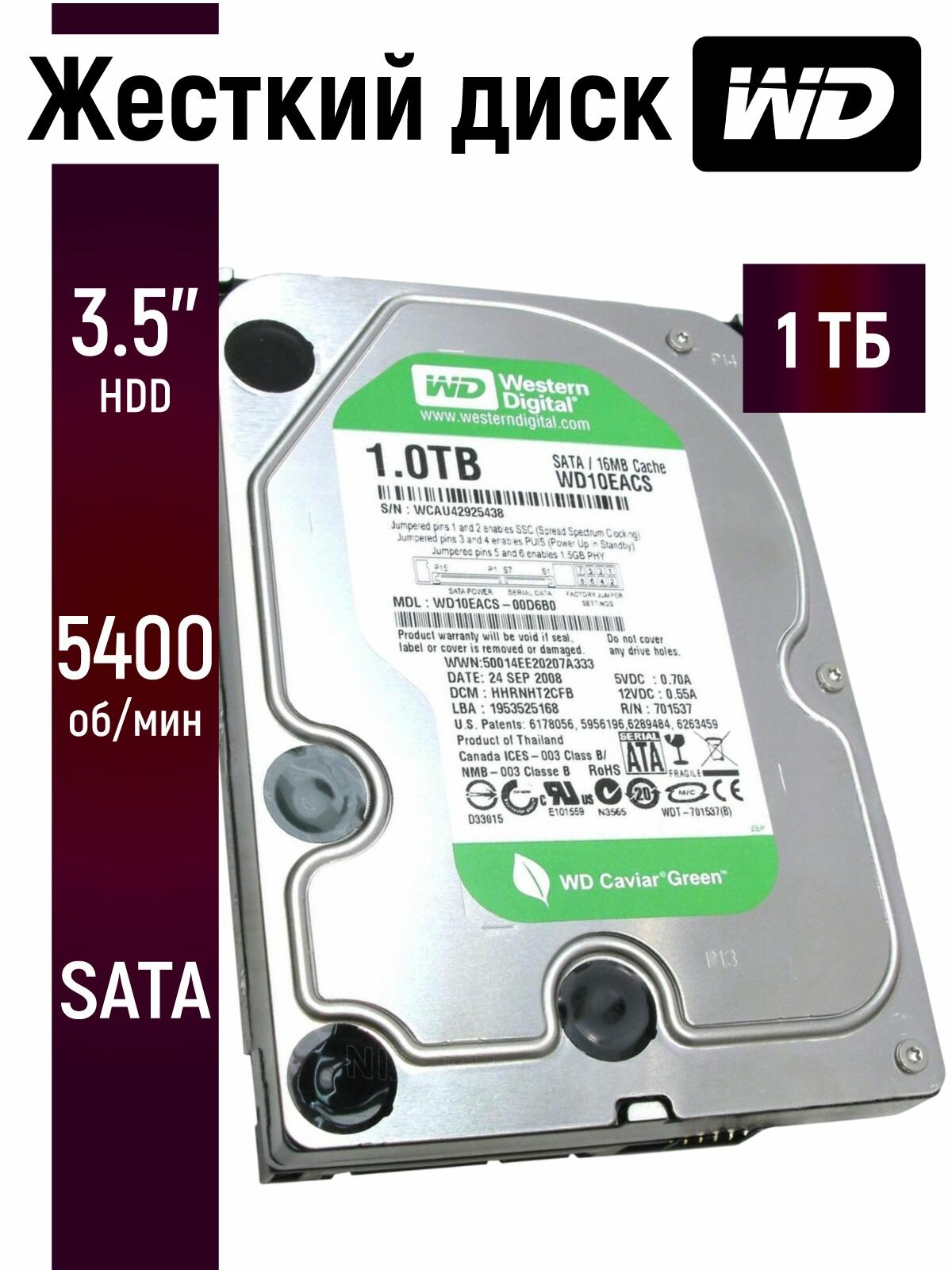 Внутренний жесткий диск WD Green 1ТБ для ПК, видеонаблюдения, 3.5 дюймов WD10EACS