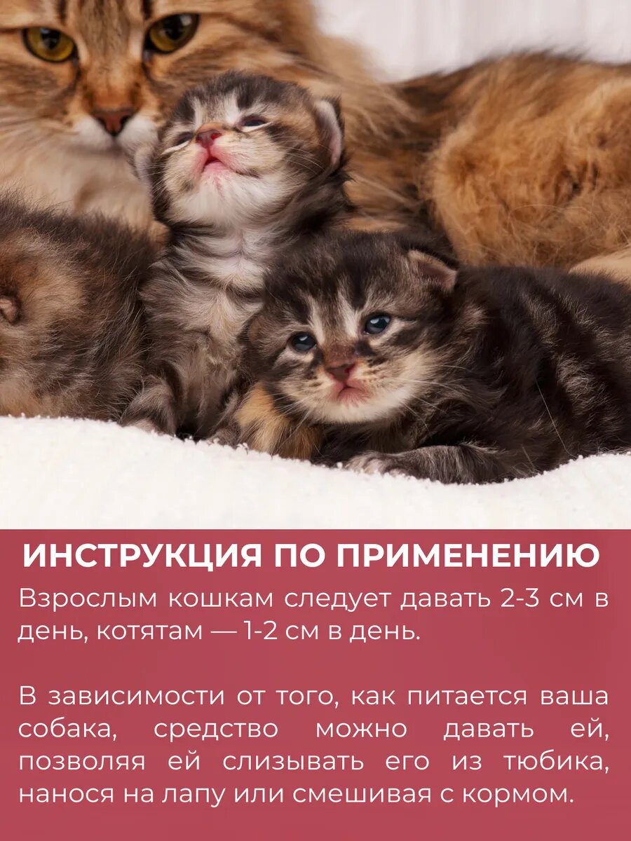 Паста для кошек Kitten Mothe, мультивитаминная, для выведения шерсти, картонная упаковка — фото 1
