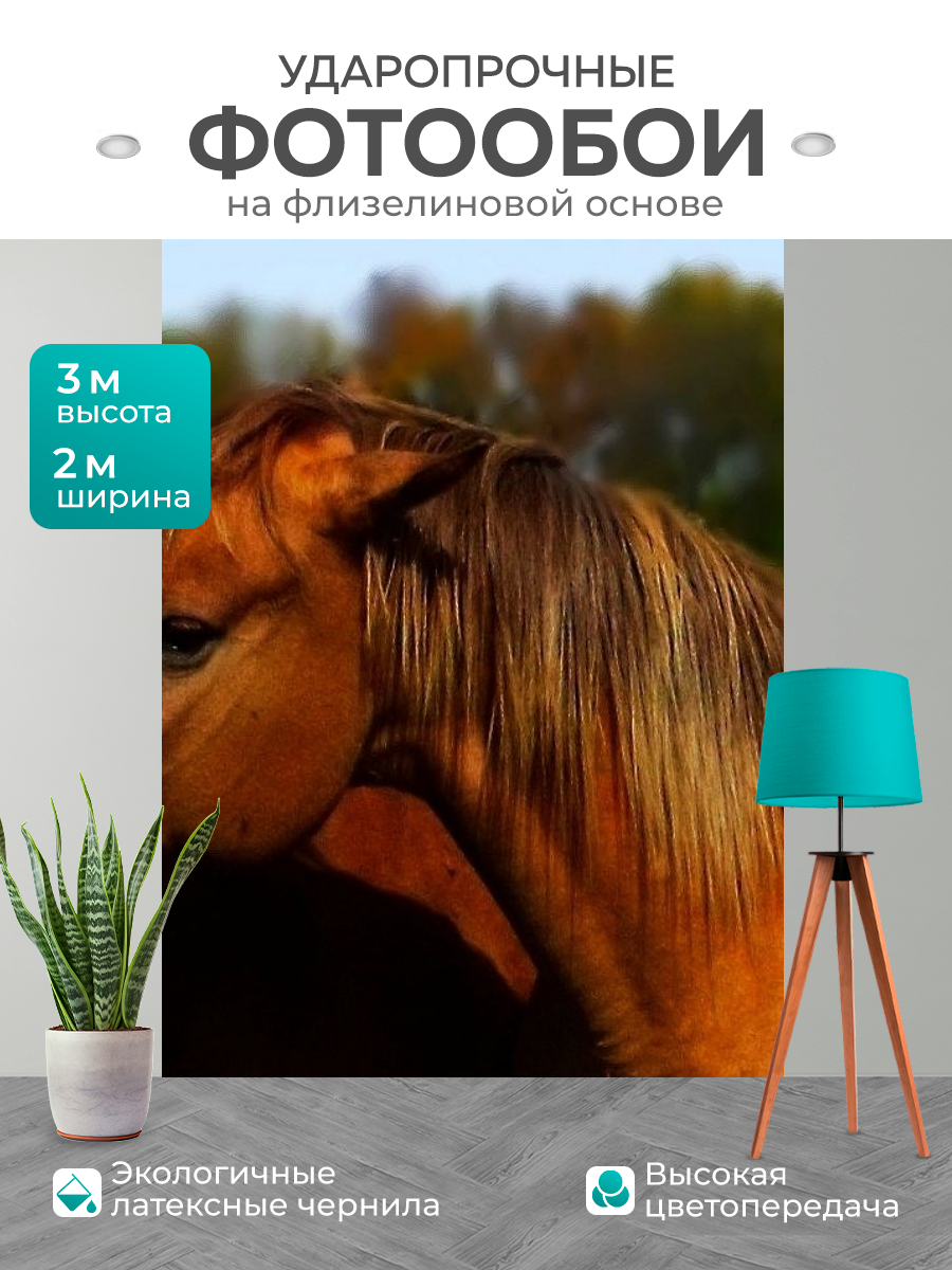 Фотообои моющиеся ударопрочные "Лошадь, поле, ферма" 200x300 см. флизелиновые на стену