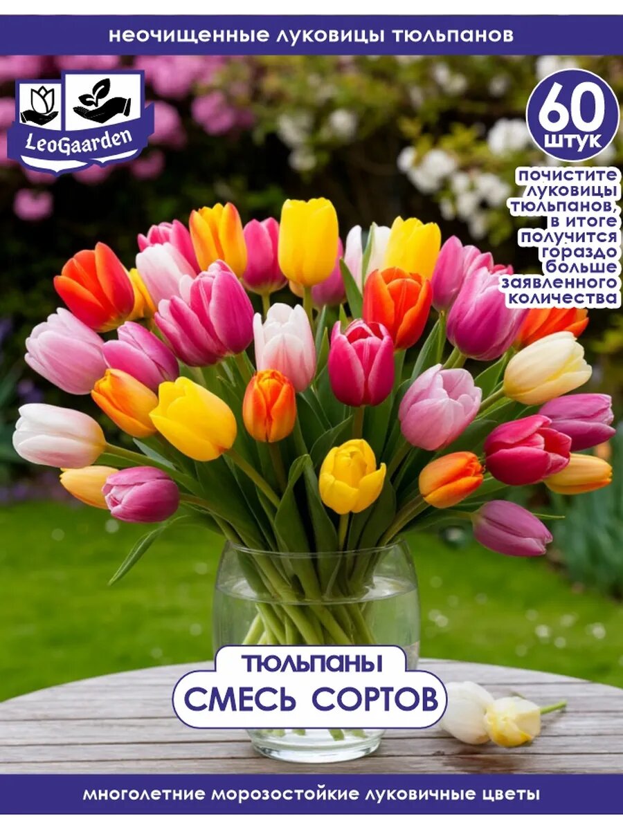 Тюльпан Луковицы, Микс сортов, 60шт