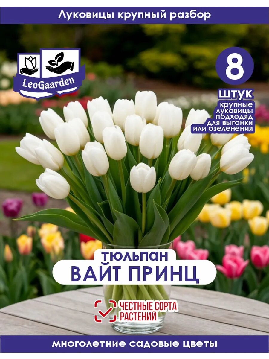 Тюльпан Луковица, Уайт Принц 8 шт крупные