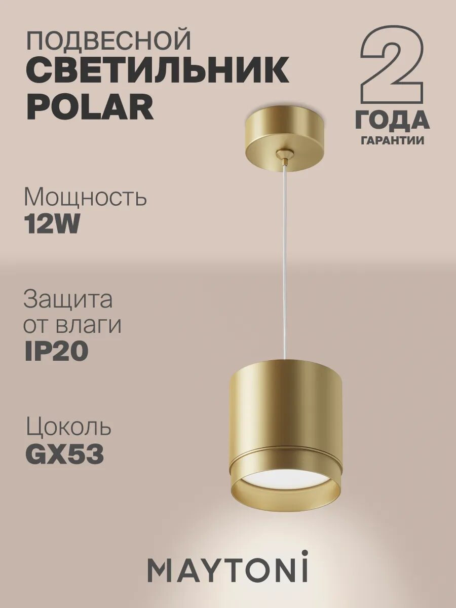 Подвесной светильник Maytoni Technical P088PL-GX53-MG