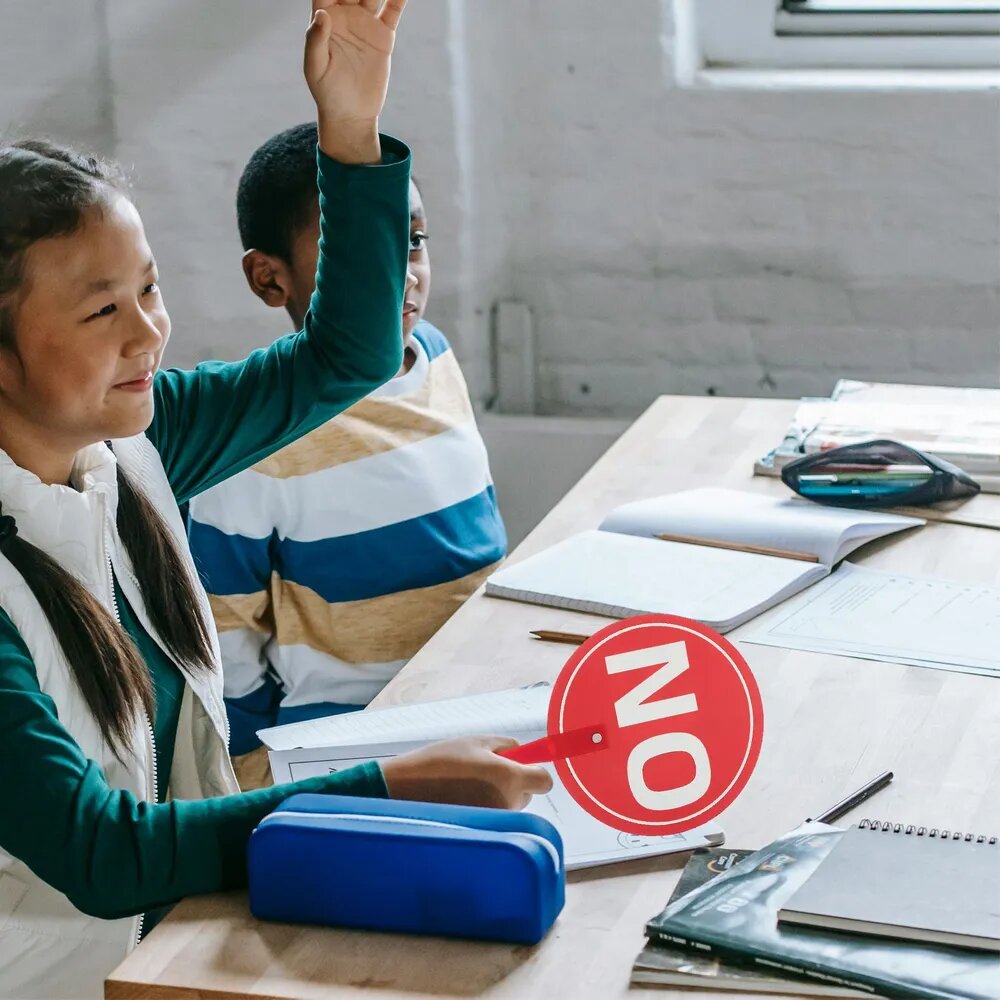 Набор пластиковых карточек для оценки и голосования в классе с цветными знаками да и нет 2 шт