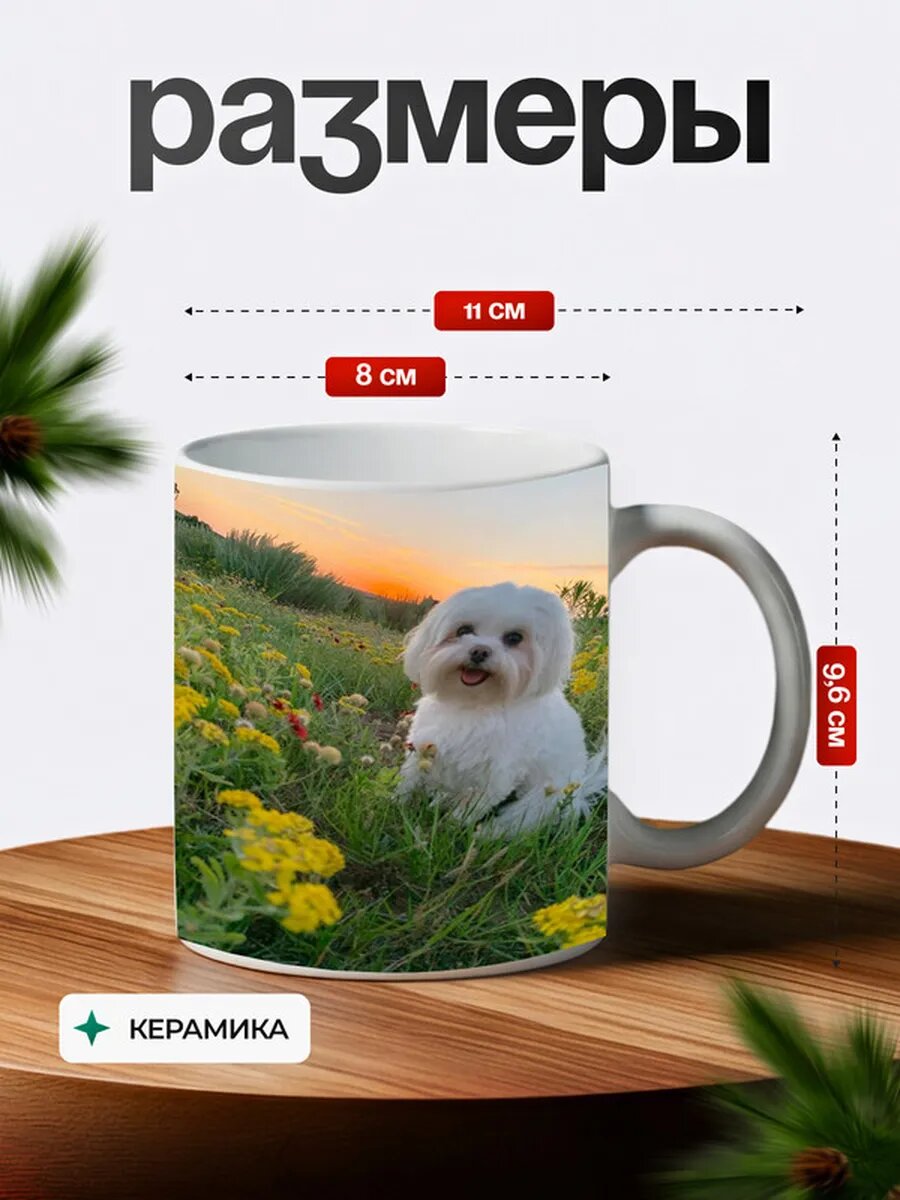 Кружка Мальтезе 23, — фото 1