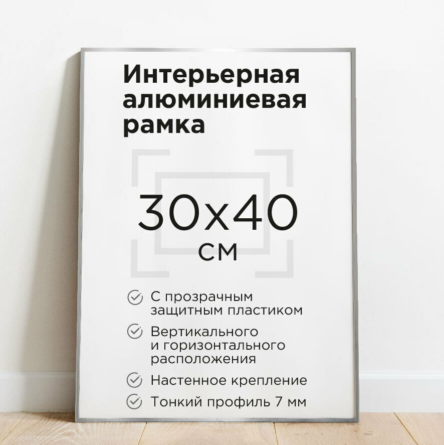 Фоторамка 30х40см, цвет серебро, рамка для постера, картины, плаката, алюминиевый профиль Нильсен, творчество в интерьере