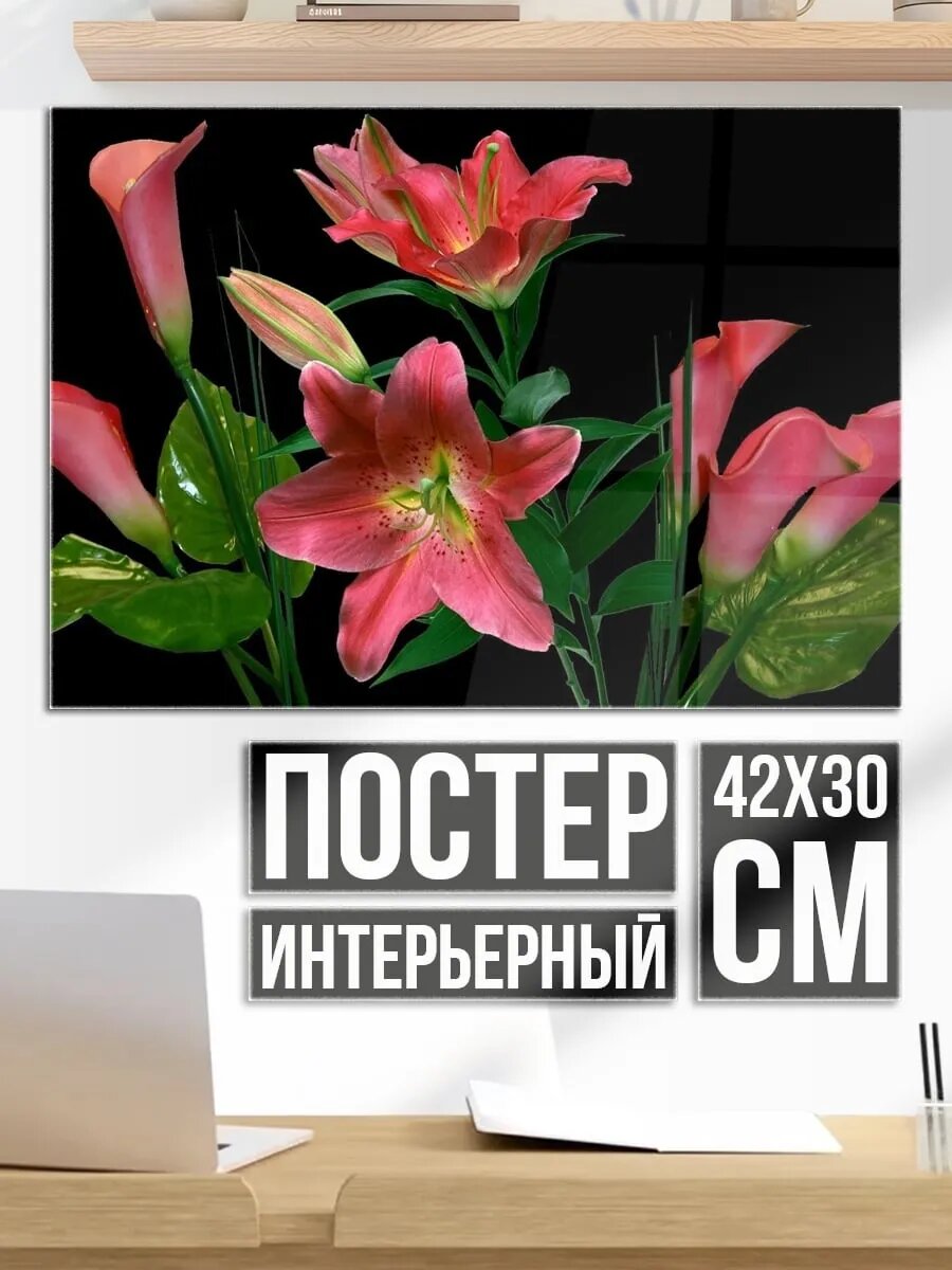 Плакат постер Розовые лилии и каллы