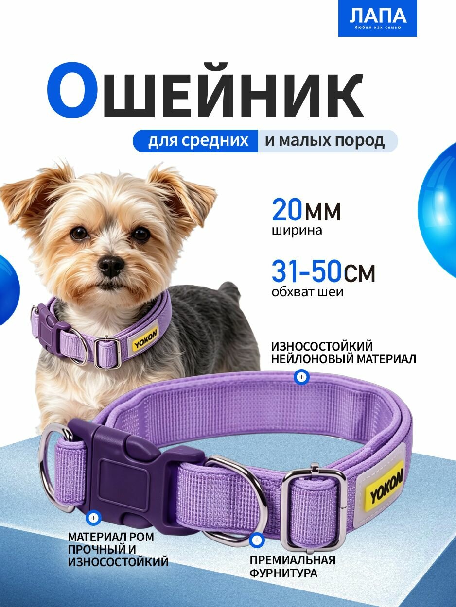 Фиолетовый усиленный нейлоновый ошейник для домашних животных, обхват шеи 31-50 см, подходит для собак мелких и средних пород весом 8-50 кг
