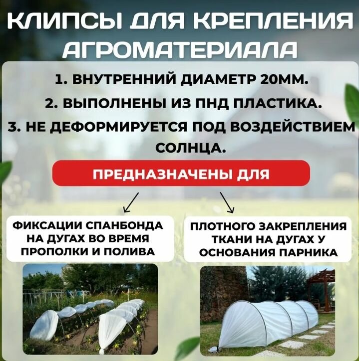 Мини-тепличка — фото 1