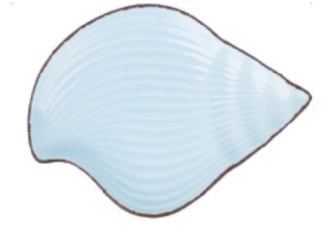 Морская керамическая посуда посуда раковины посуда голубая керамическая посуда животные рыбная посуда синий