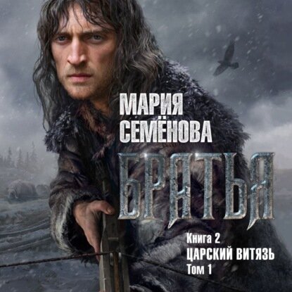 Братья. Книга 2. Царский витязь. Том 1 [Аудиокнига]