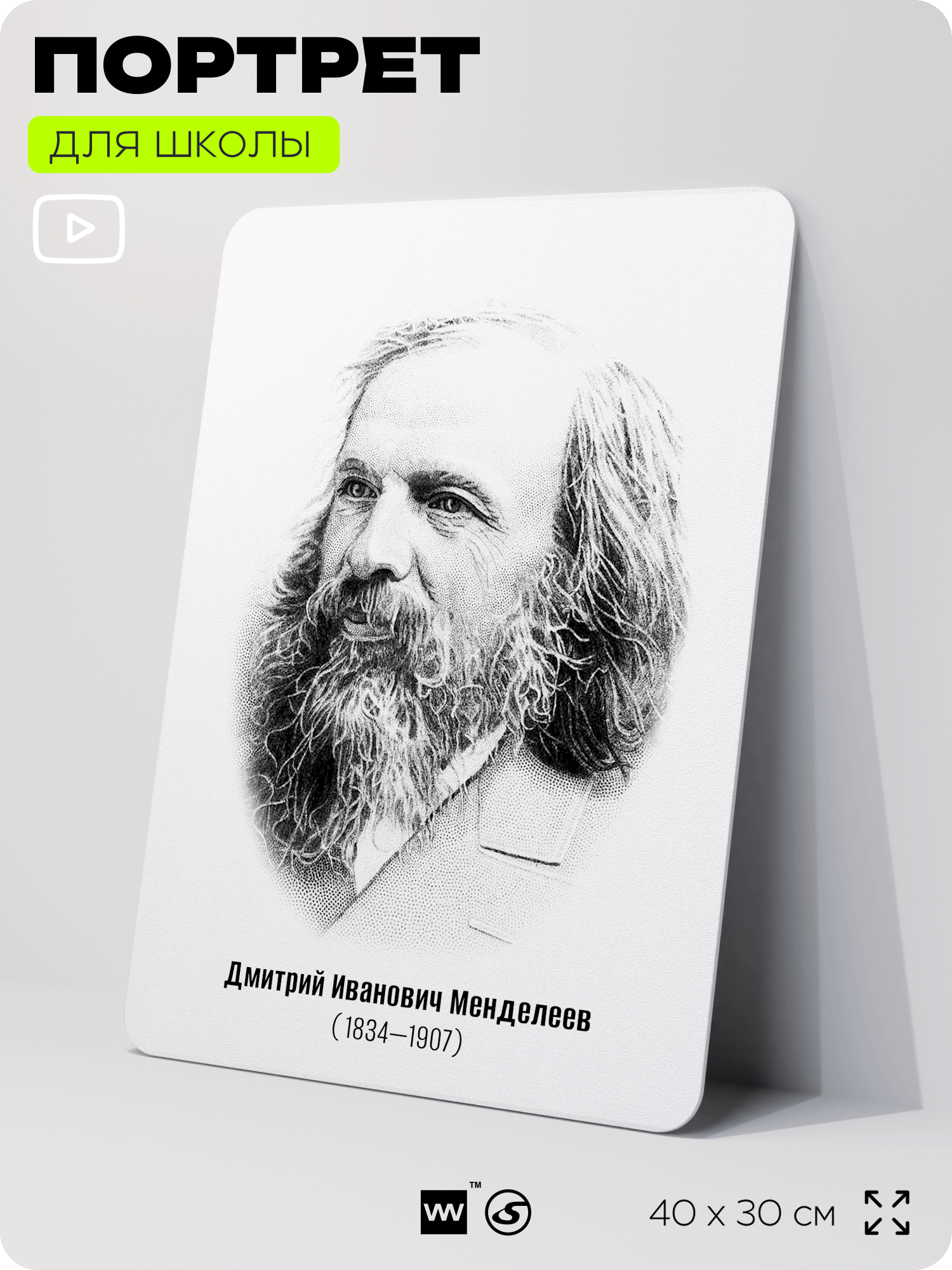 Портрет для школы в кабинет химии "Менделеев Дмитрий Иванович", стенд школьный для класса, деятели науки для оформления классного уголка, 40х30 см, Silver Plane x Айдентика Технолоджи