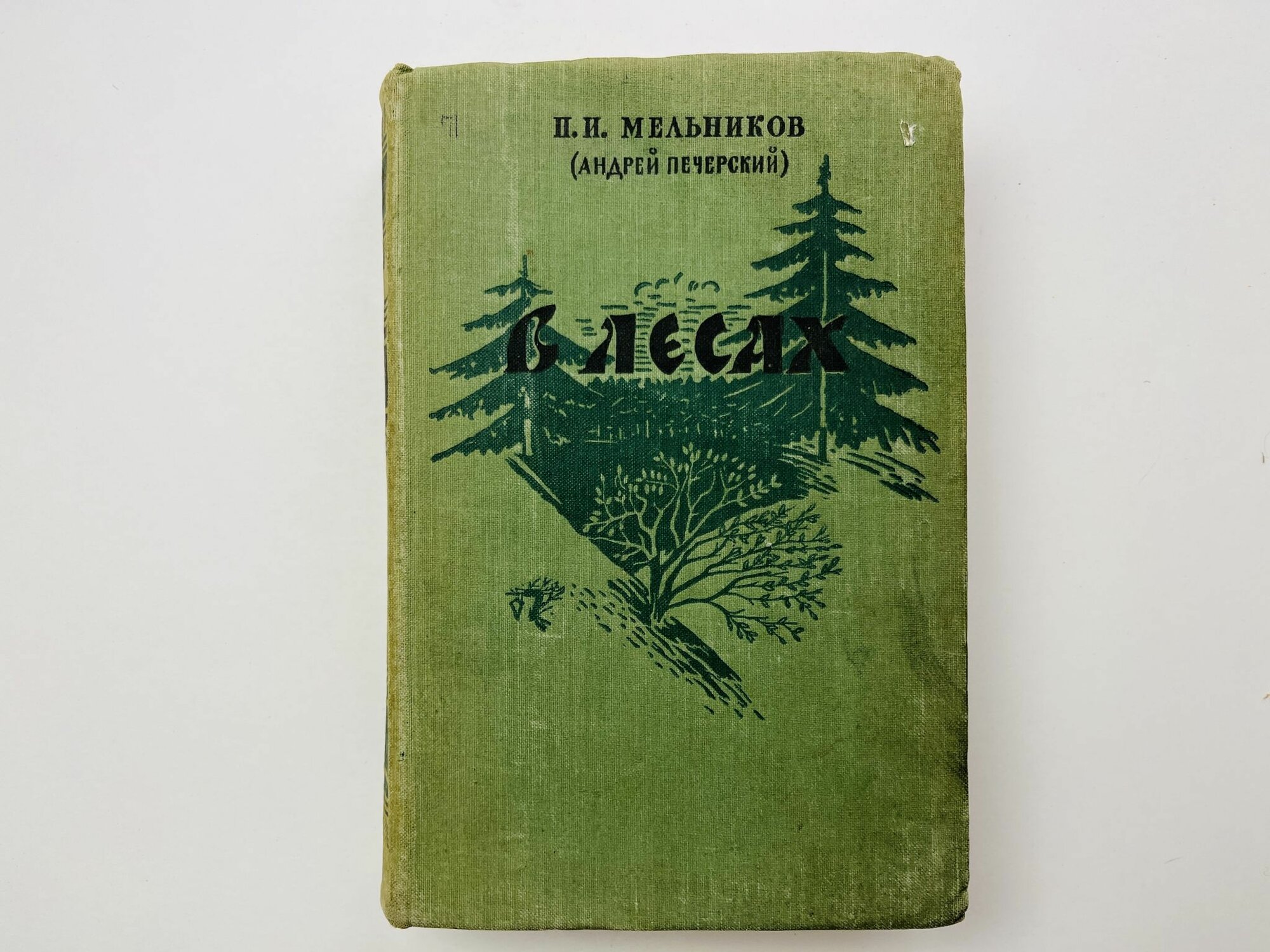 В лесах. В двух книгах. Книга вторая