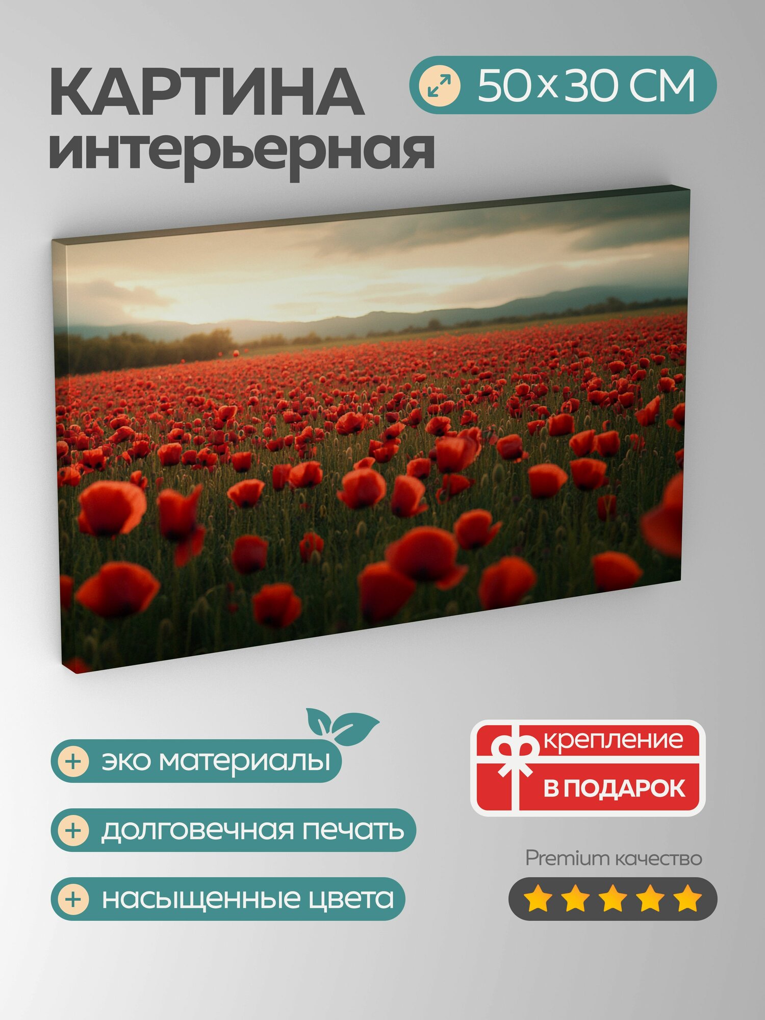 Картина на холсте интерьерная 50х30 см, маковое поле, красные лепестки, зеленая листва, природное волшебство, f