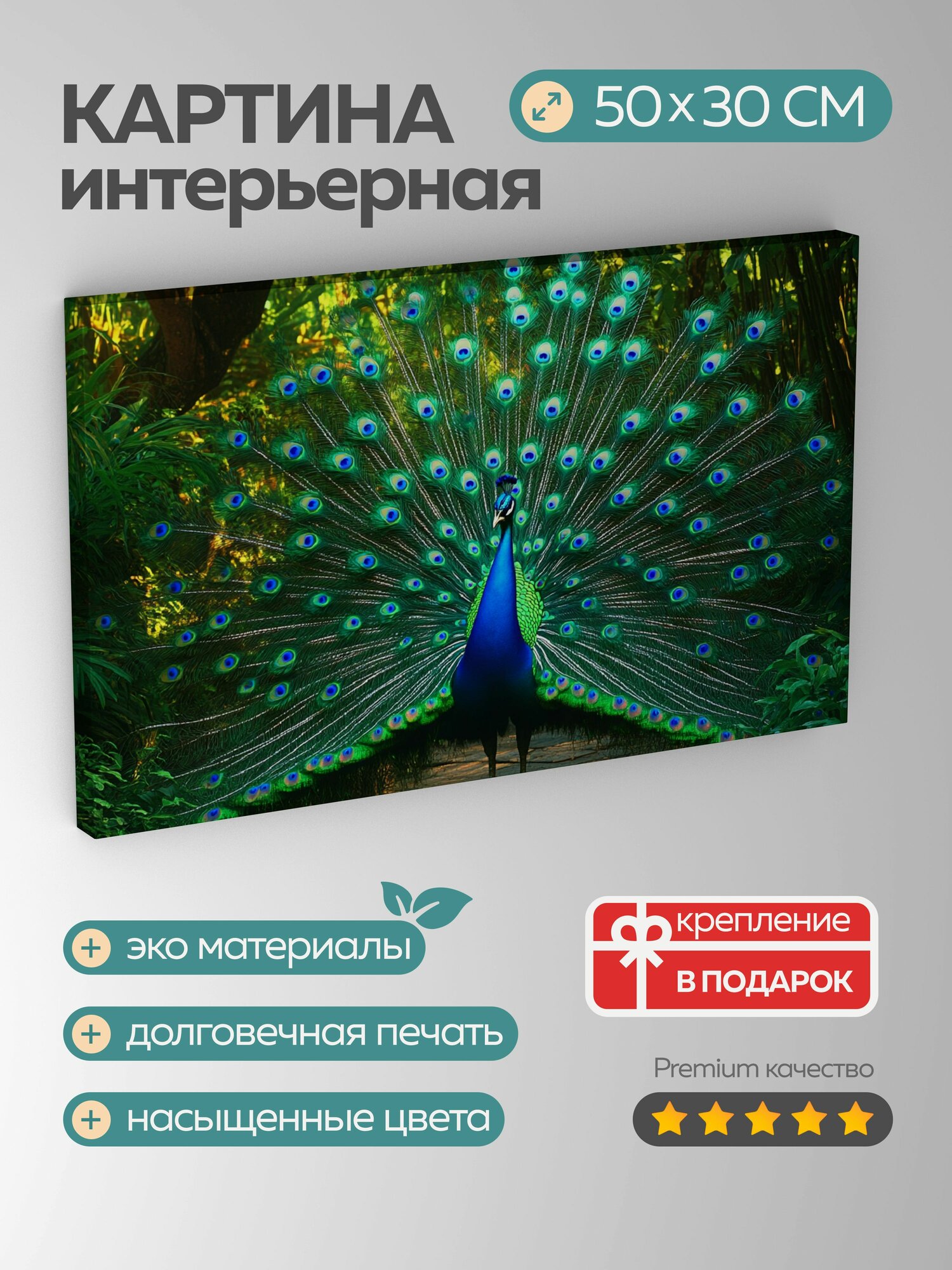 Картина на холсте интерьерная 50х30 см, павлин, оперение, перья, сад, детали, цвета, красота, элегантность, птица