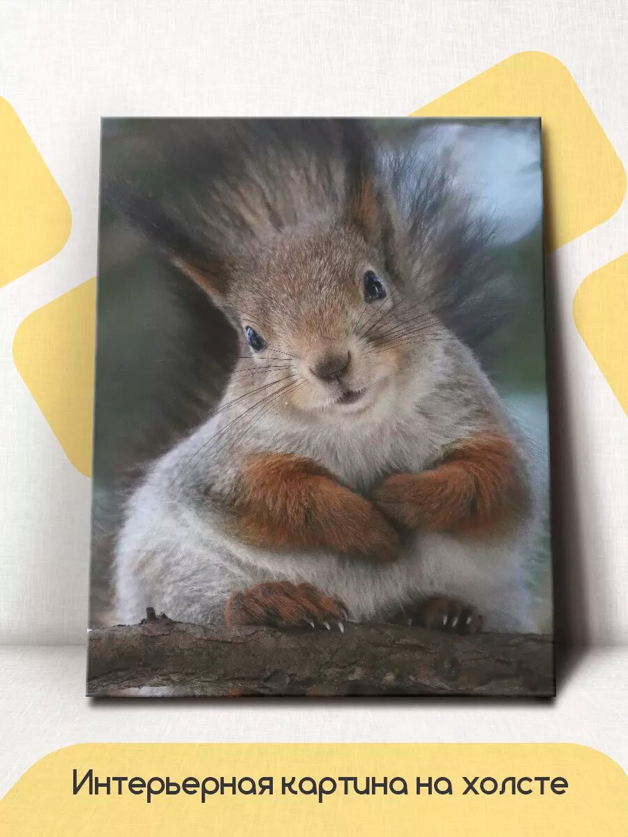 Картина на стену интерьерная Милая белка 45x60 см