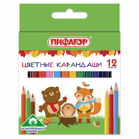 Карандаши цветные пифагор "малыши-карандаши", 12 цветов, укороченные заточенные, 181344