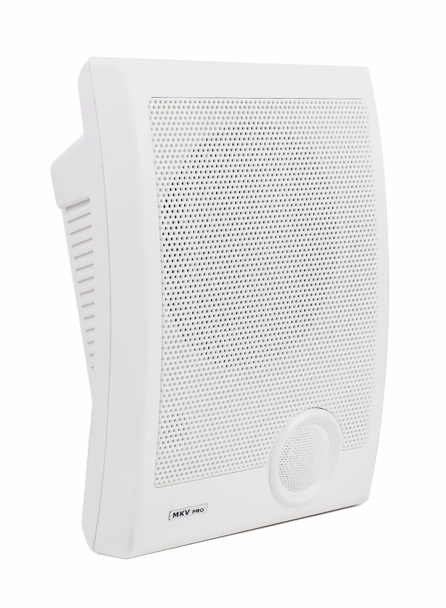 РА-15 Громкоговоритель настенный 10Вт 30/70/100В