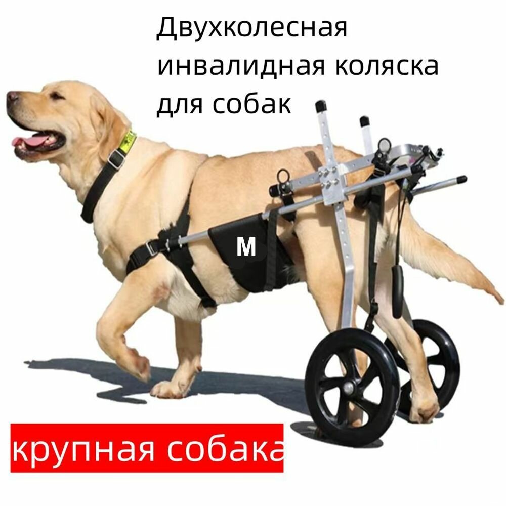 Инвалидная коляска для собак, Двухколесная реабилитационная тележка для средних и крупных собак. Для животных с проблемами задних лап и полным параличом.
