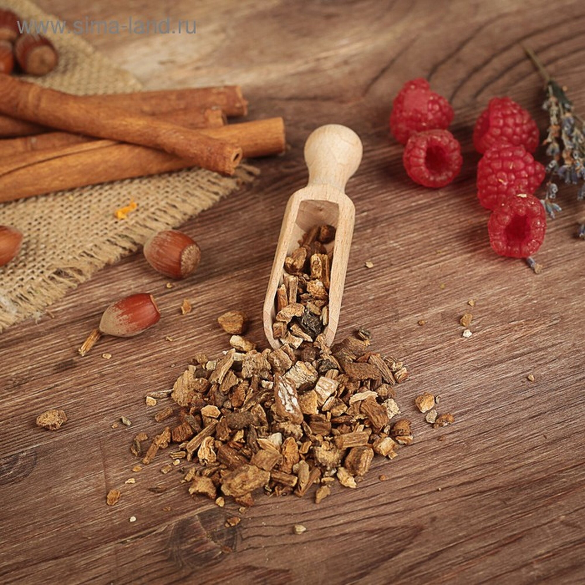 Корни лопуха Гордеев М. В, 100г, для лечения заболеваний печени, почек, желчного пузыря