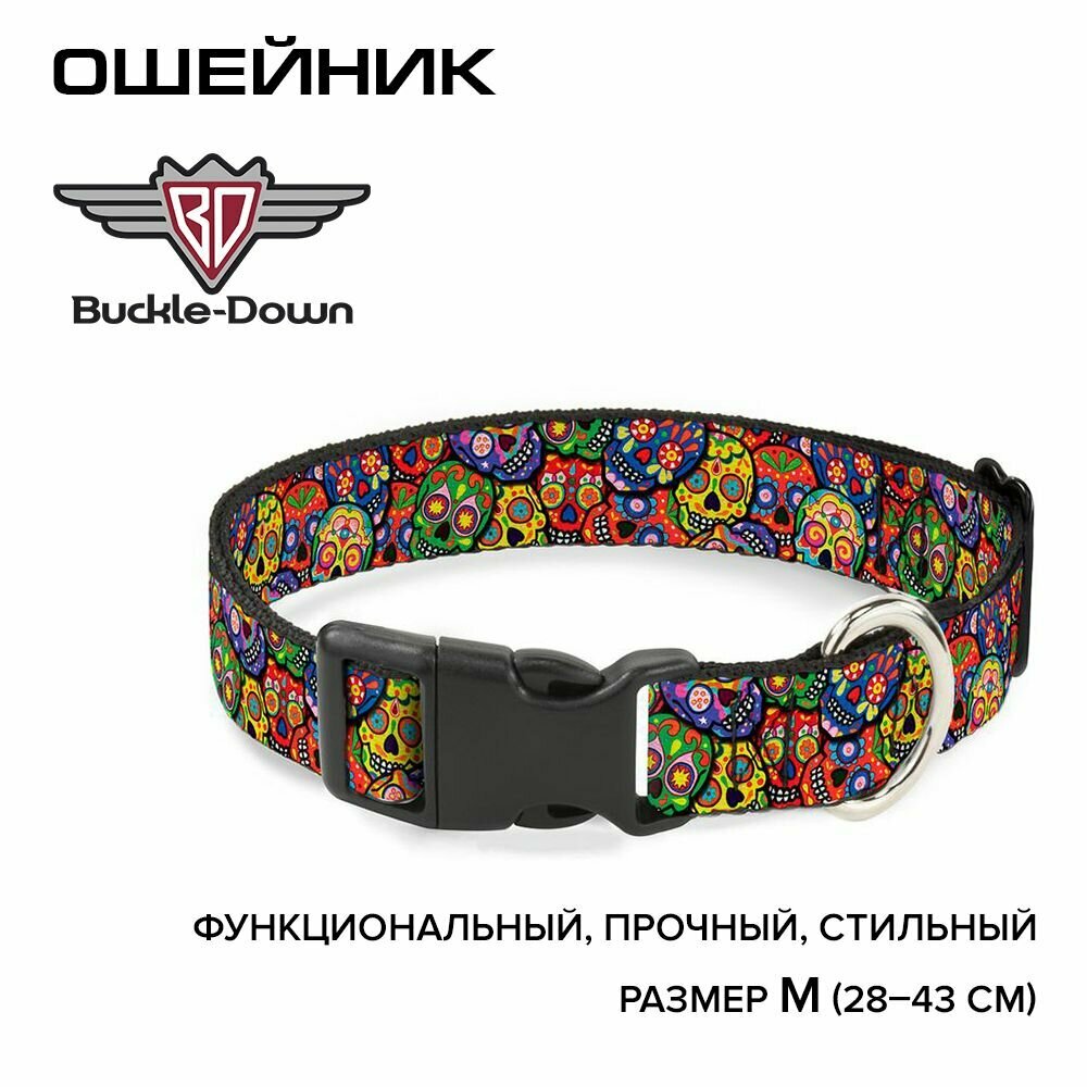Ошейник для собак Buckle-Down с пластиковой застежкой, "Цветные черепа", мультицвет, 28-43 см