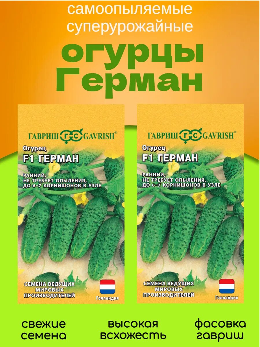 Семена огурцов самоопыляемых Герман 2 пакета