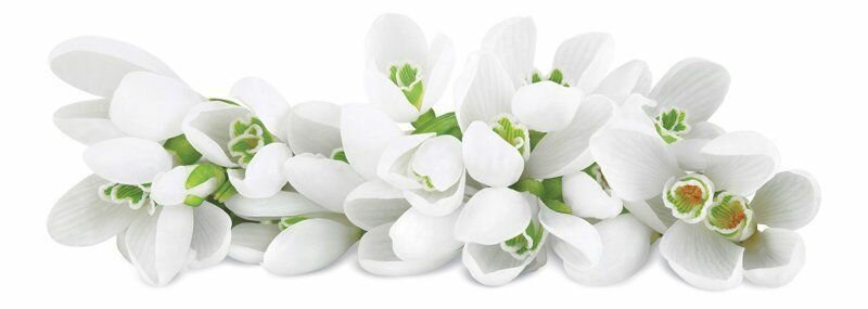 Фотообои "Весеннее волшебство" Люкс 4 листа 272х97 см