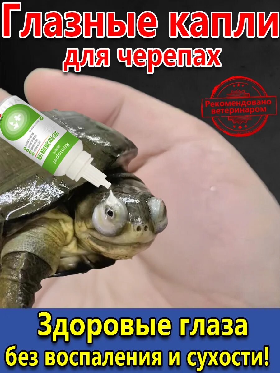 Капли от конъюнктивита у черепах