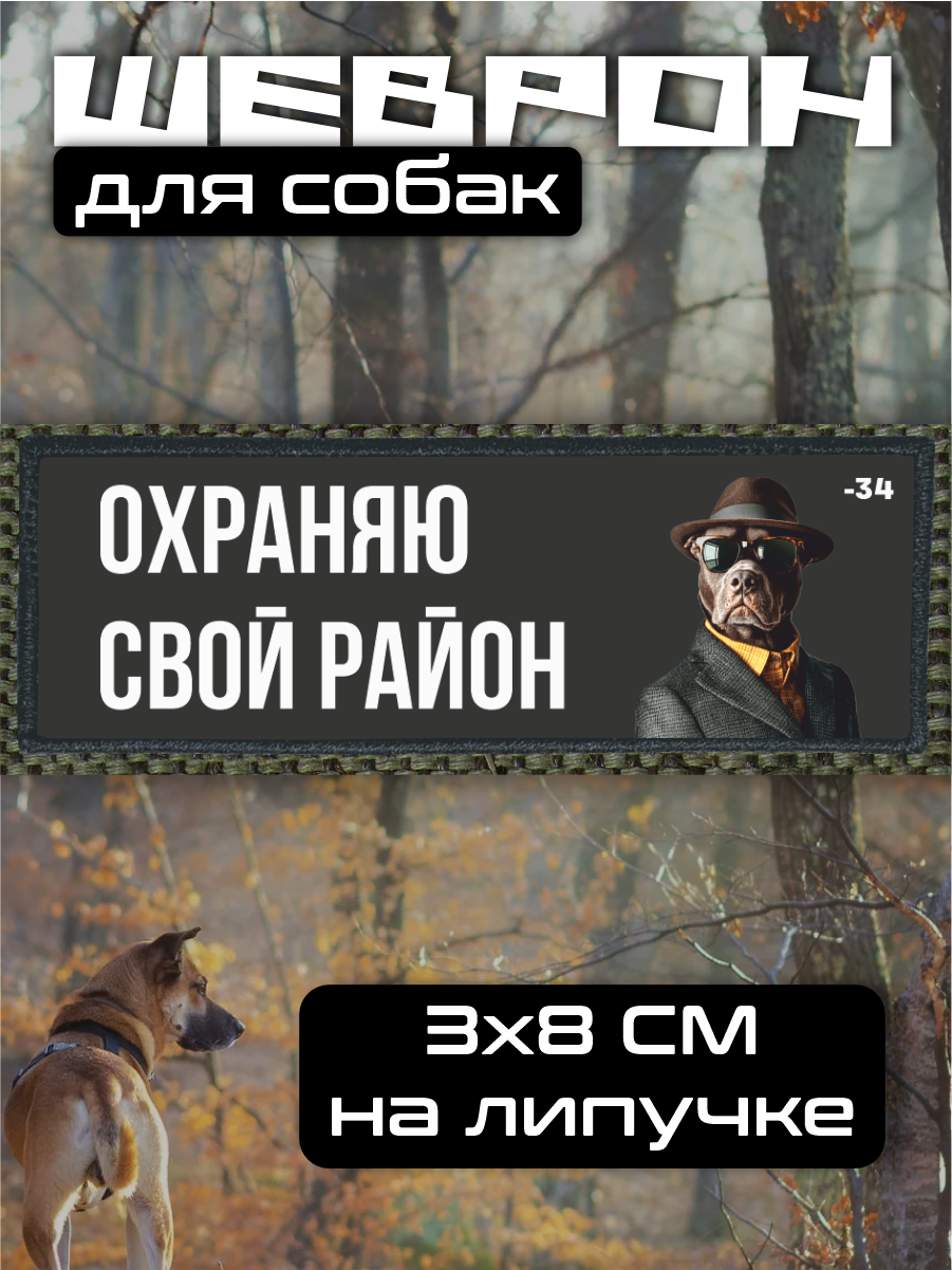 Шеврон на липучке для собак Охраняю свой район надпись